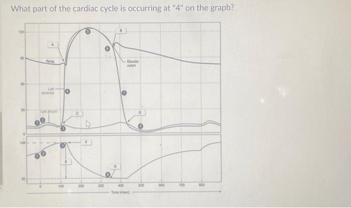 Solved What part of the cardiac cycle is occurring at " 4 " | Chegg.com