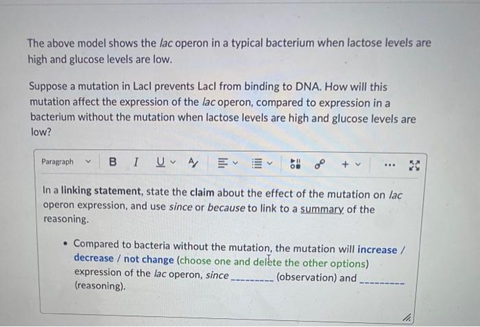Solved The above model shows the lac operon in a typical | Chegg.com