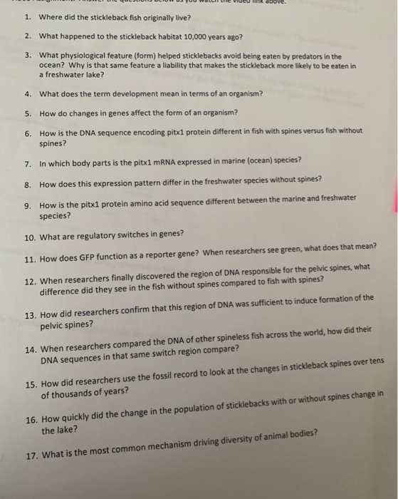 Solved JJ JUU WOLLI E VIUCUK bove. 1. Where did the | Chegg.com