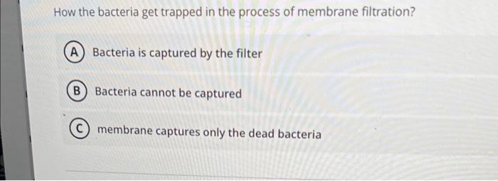 Solved How the bacteria get trapped in the process of | Chegg.com