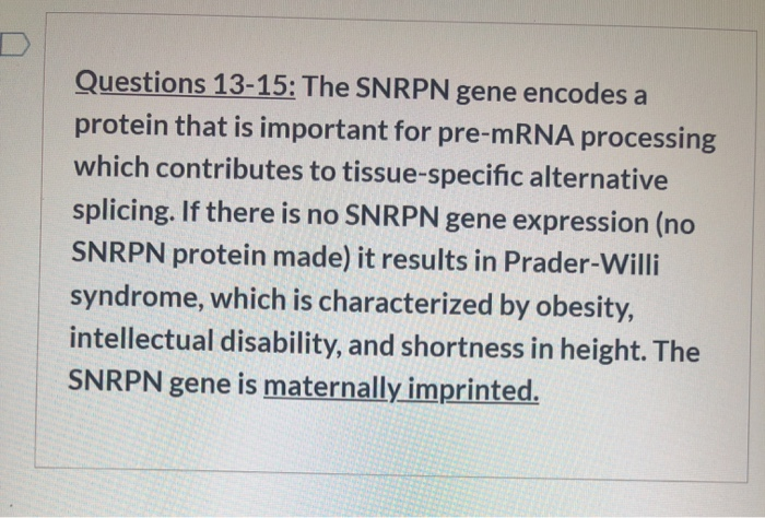 Solved Questions 13-15: The SNRPN gene encodes a protein | Chegg.com