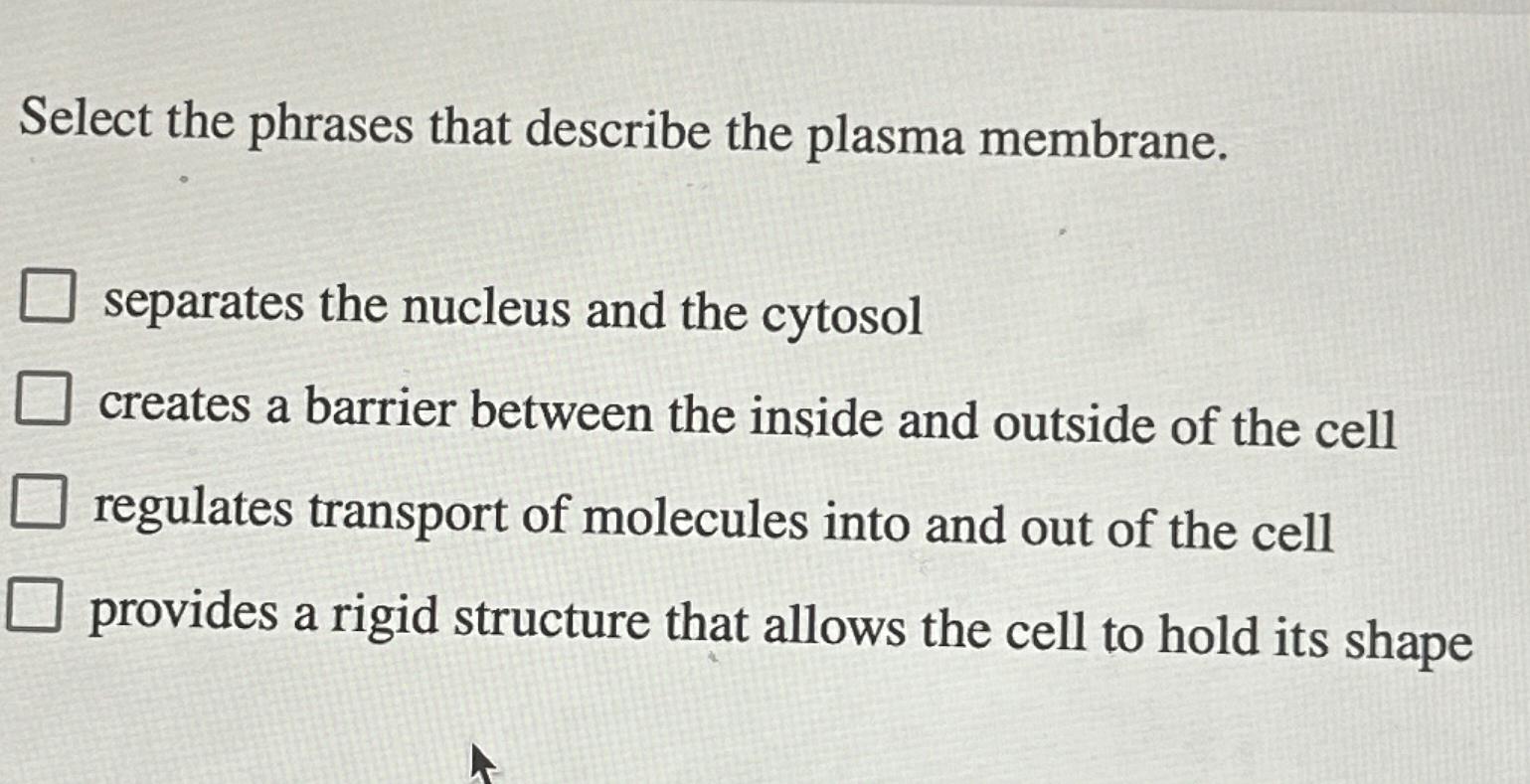 Solved Select the phrases that describe the plasma | Chegg.com