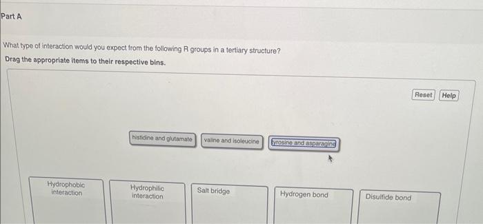 Solved What type of interaction would you expect from the | Chegg.com