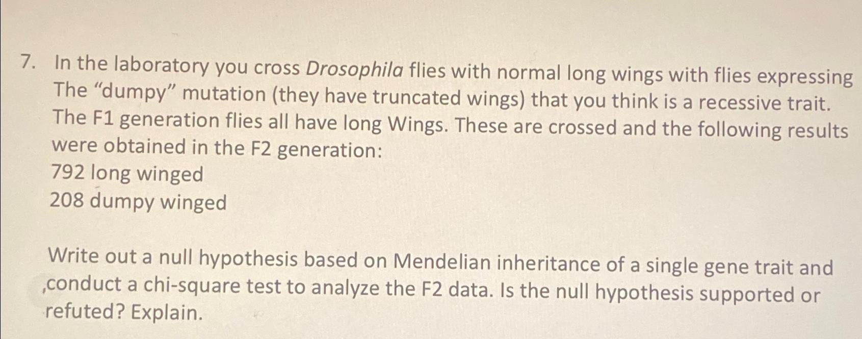 Solved In the laboratory you cross Drosophila flies with | Chegg.com