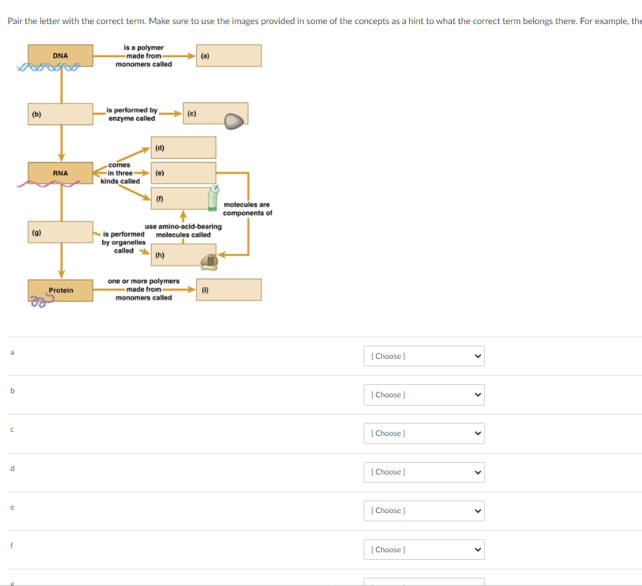 Solved Pair the letter with the correct term. Make sure to | Chegg.com