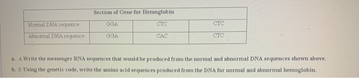 Solved Section of Gene for Hemoglobin Normal DNA sequence | Chegg.com