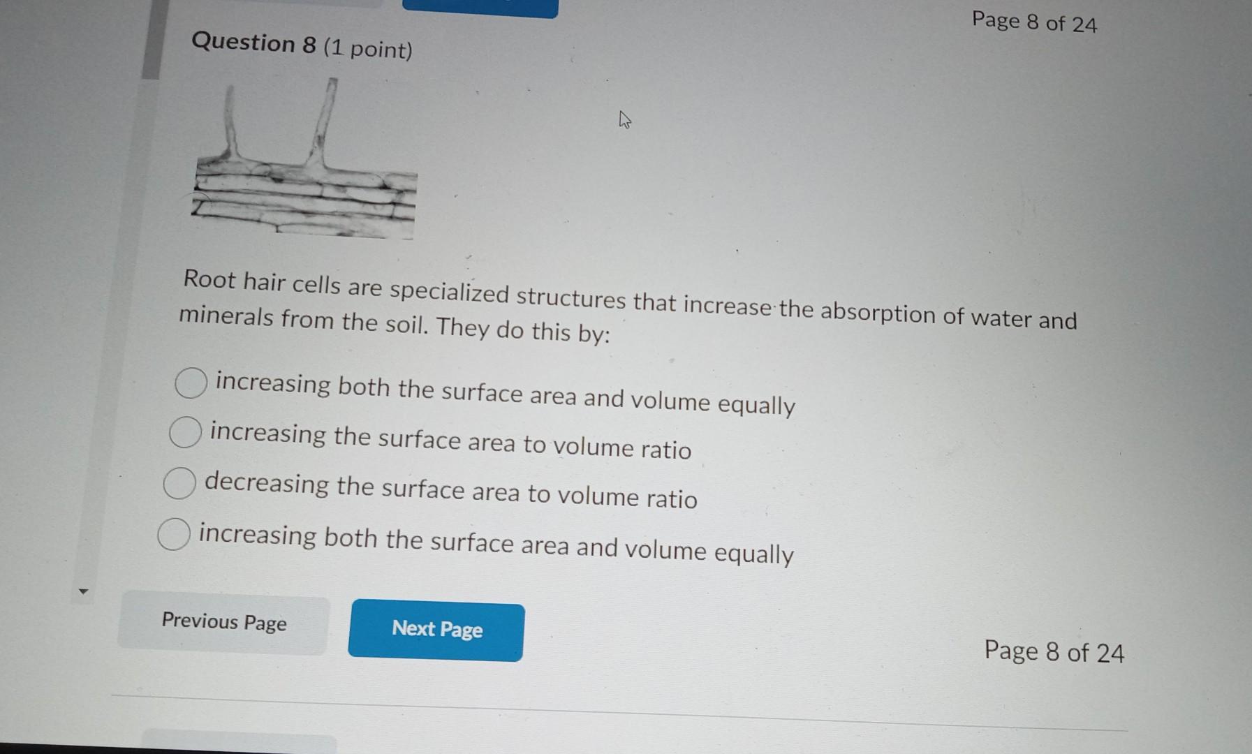 Solved Question 8 (1 point) Root hair cells are specialized | Chegg.com