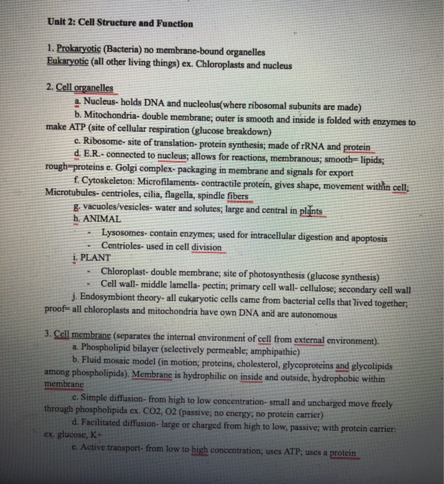 Solved Unit 1: Chemistry of Life 1. CHNOPS-most common | Chegg.com