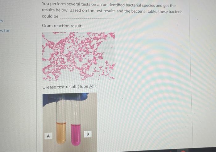 Solved You perform several tests on an unidentified | Chegg.com