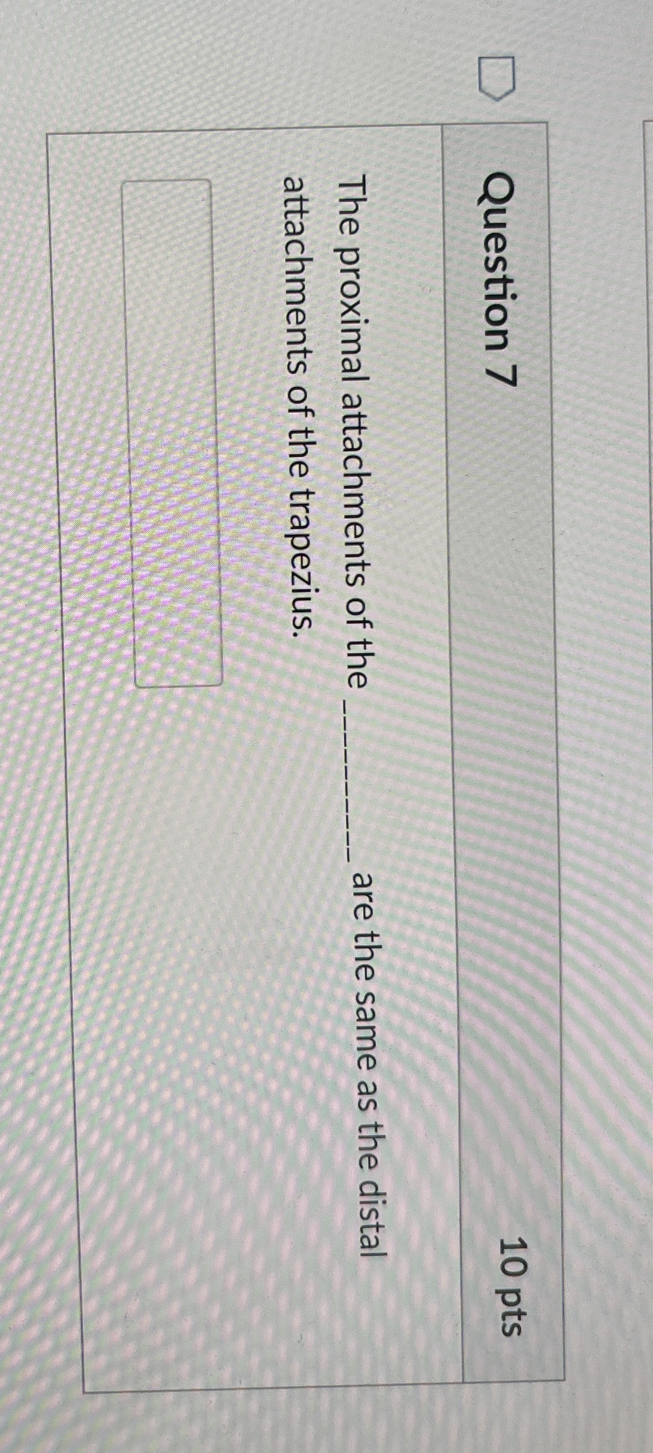 Solved Question 710 ﻿ptsThe proximal attachments of the | Chegg.com