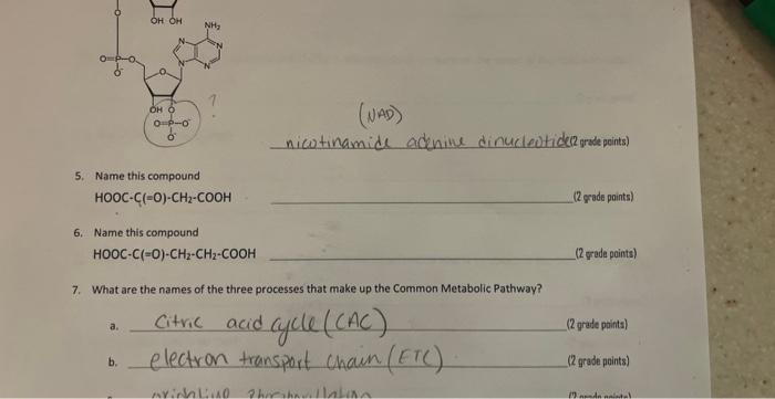 5. Name this compound HOOC-C (=0)−CH2⋅COOH (2 crade | Chegg.com