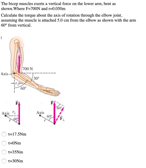 Solved The bicep muscles exerts a vertical force on the | Chegg.com