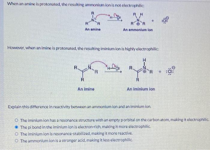 Solved When an amine is protonated, the resulting ammonium | Chegg.com