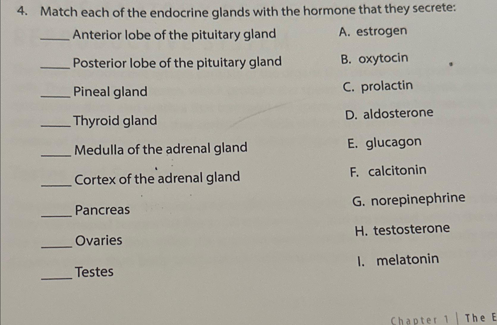 Solved Match each of the endocrine glands with the hormone | Chegg.com