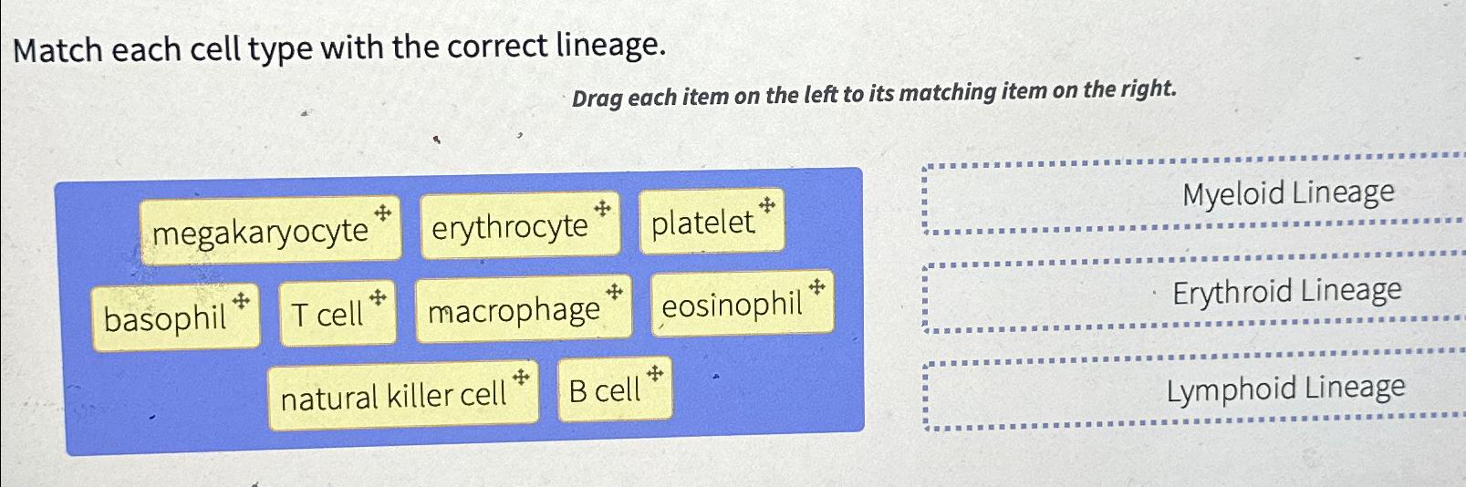 Solved Match each cell type with the correct lineage.Drag | Chegg.com Solved Match each cell type with the correct lineage.Drag | Chegg.com