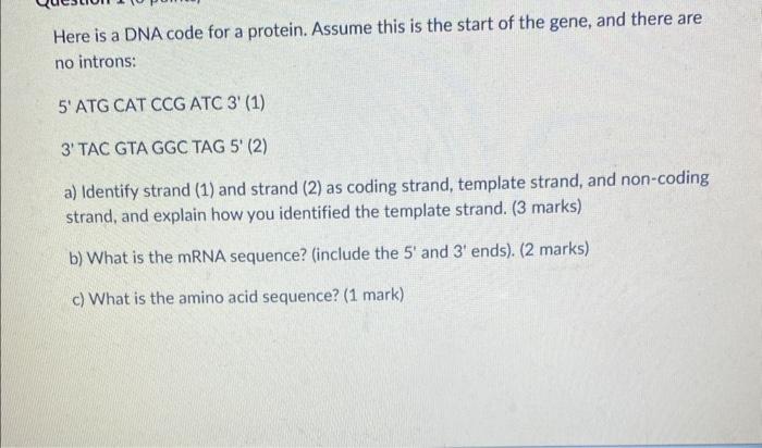 Solved Here is a DNA code for a protein. Assume this is the | Chegg.com
