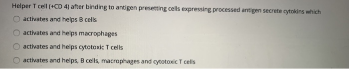 Solved Helper T cell (+CD4) after binding to antigen | Chegg.com