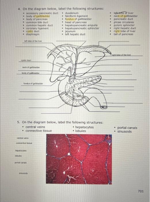 4. On the diagram below, label the following | Chegg.com