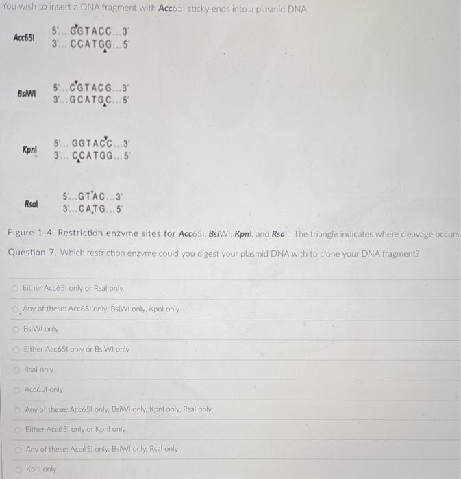 Solved You wish to insert a DNA fragment with Acc 651 sticky | Chegg.com