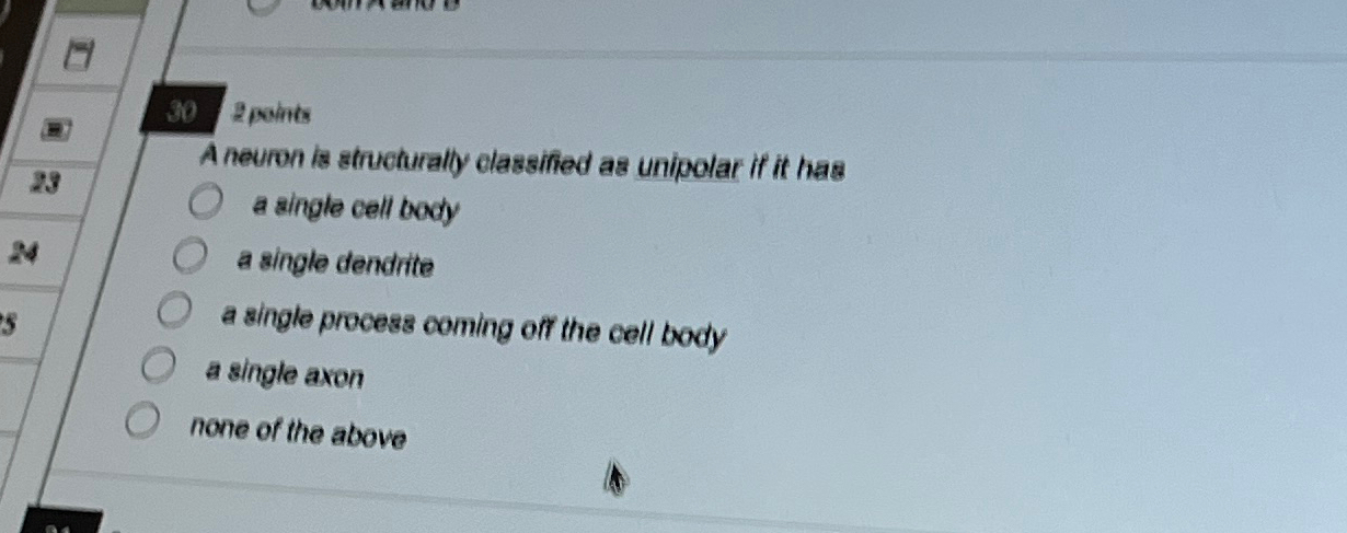 Solved 30 2pointsA neuron is structurally classified as | Chegg.com