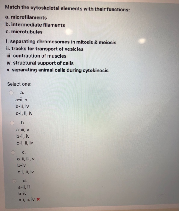 Solved Match the cytoskeletal elements with their functions: | Chegg.com