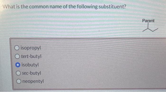 Solved What is the common name of the following substituent? | Chegg.com
