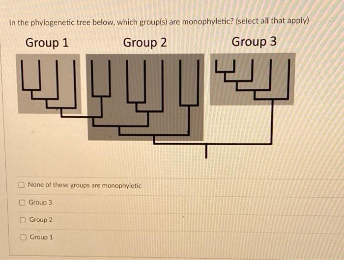 Solved In the phylogenetic tree below, which group(s) are | Chegg.com