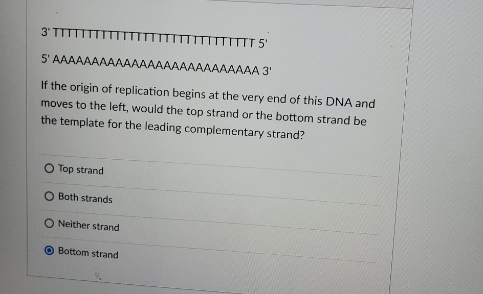 Solved 3' ﻿TTTTTTTTTTTTTTTTTTTTTTTTTTTT 5'5' | Chegg.com