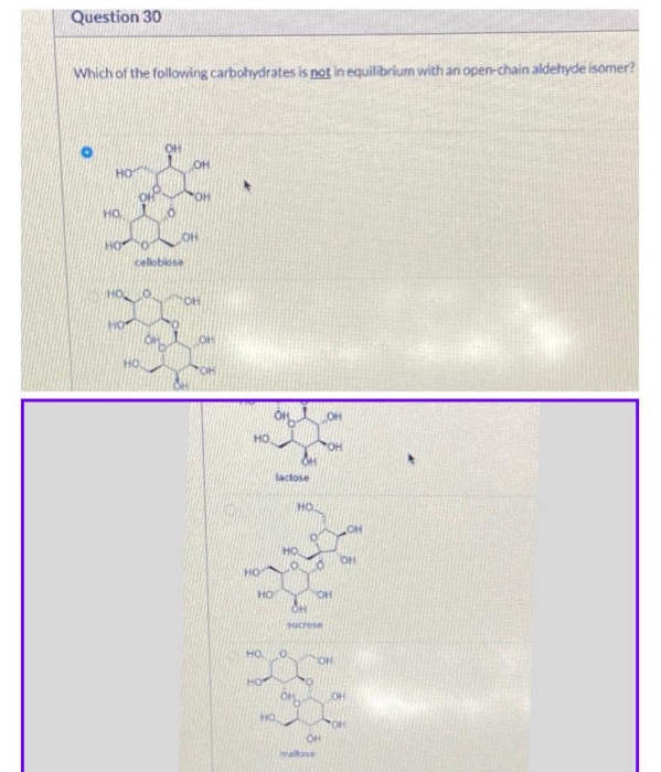 Solved Question 30 Which of the following carbohydrates is | Chegg.com