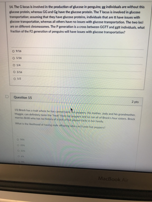 Solved 14. The Glocus is involved in the production of | Chegg.com