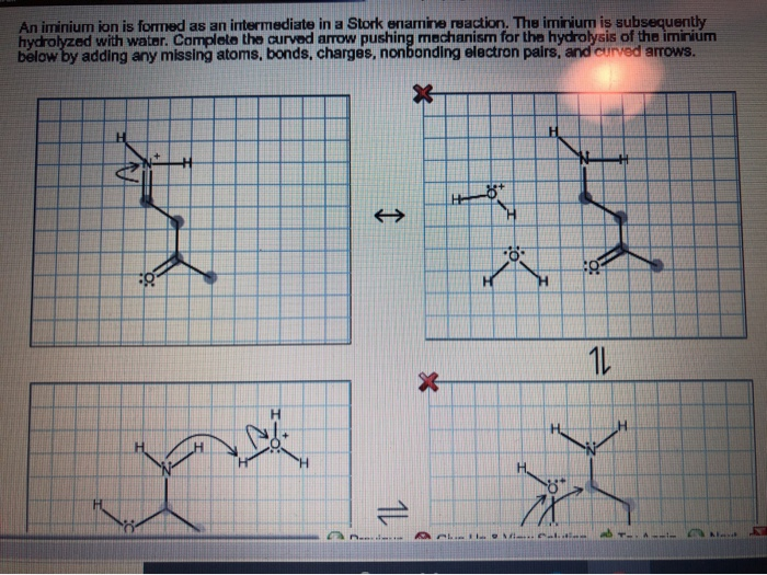 Solved An iminium ion is formed as an intermediate in a | Chegg.com