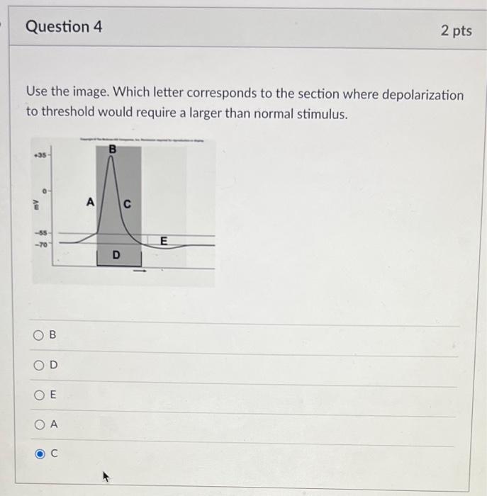 Solved Use the image. Which letter corresponds to membrane | Chegg.com
