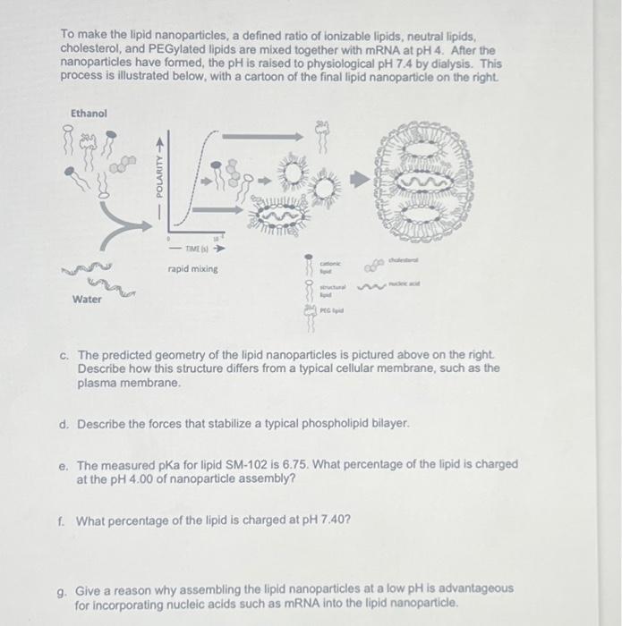 Solved 7) The rapid development of the mRNA vaccines in | Chegg.com