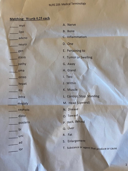 Solved NURS 209: Medical Terminology Homework Analysis and | Chegg.com