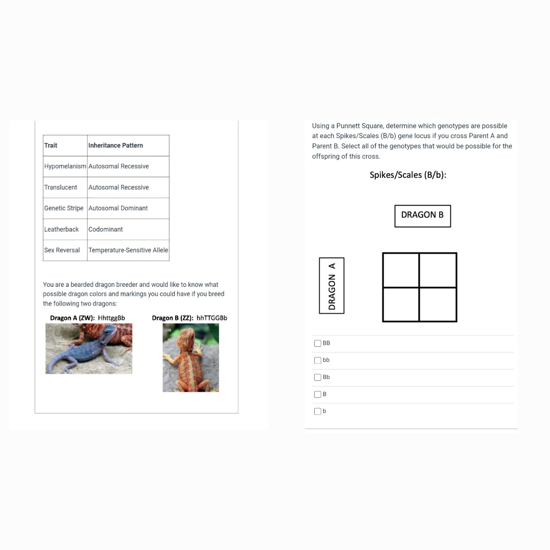 Solved \table[[Trait,Inheritance | Chegg.com