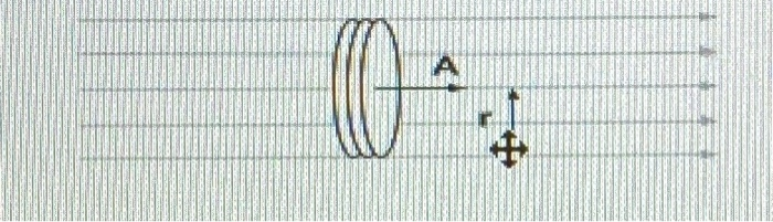 Solved 12 circular coils of wire with a radius of 0.20 m are | Chegg.com