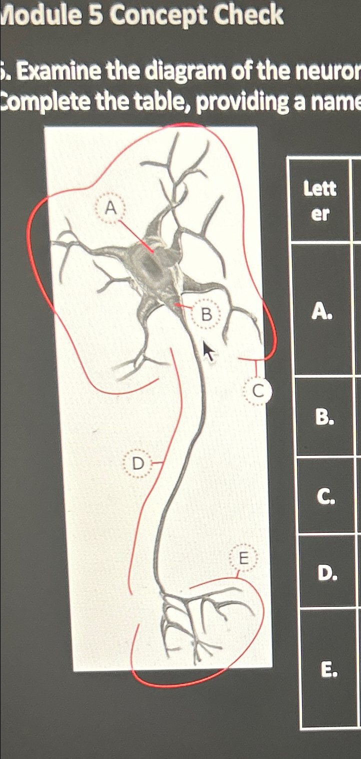 Solved Module 5 ﻿Concept CheckExamine the diagram of the | Chegg.com