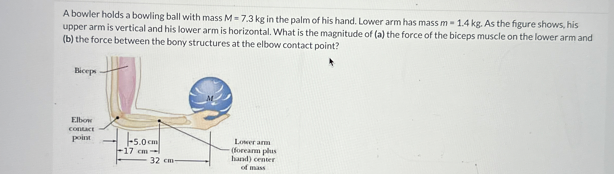 Solved A bowler holds a bowling ball with mass M=7.3kg ﻿in | Chegg.com