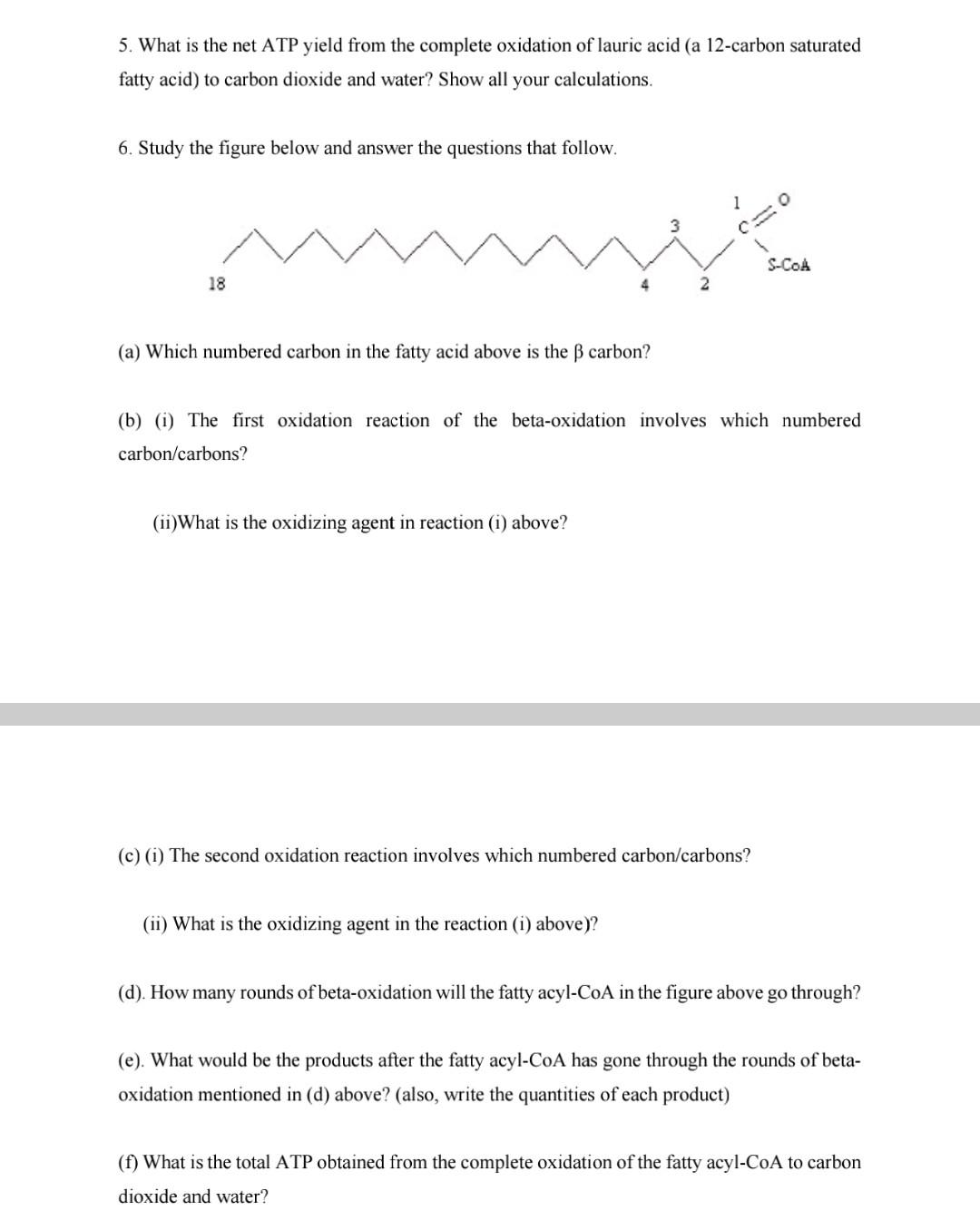 Solved 5. What is the net ATP yield from the complete | Chegg.com