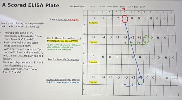 - Micropipette 100uL of the appropriate Antigen to | Chegg.com