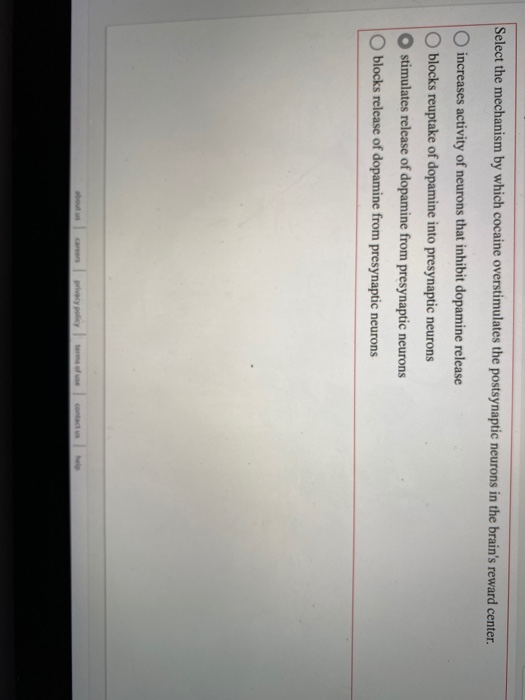 Solved Select the mechanism by which cocaine overstimulates | Chegg.com