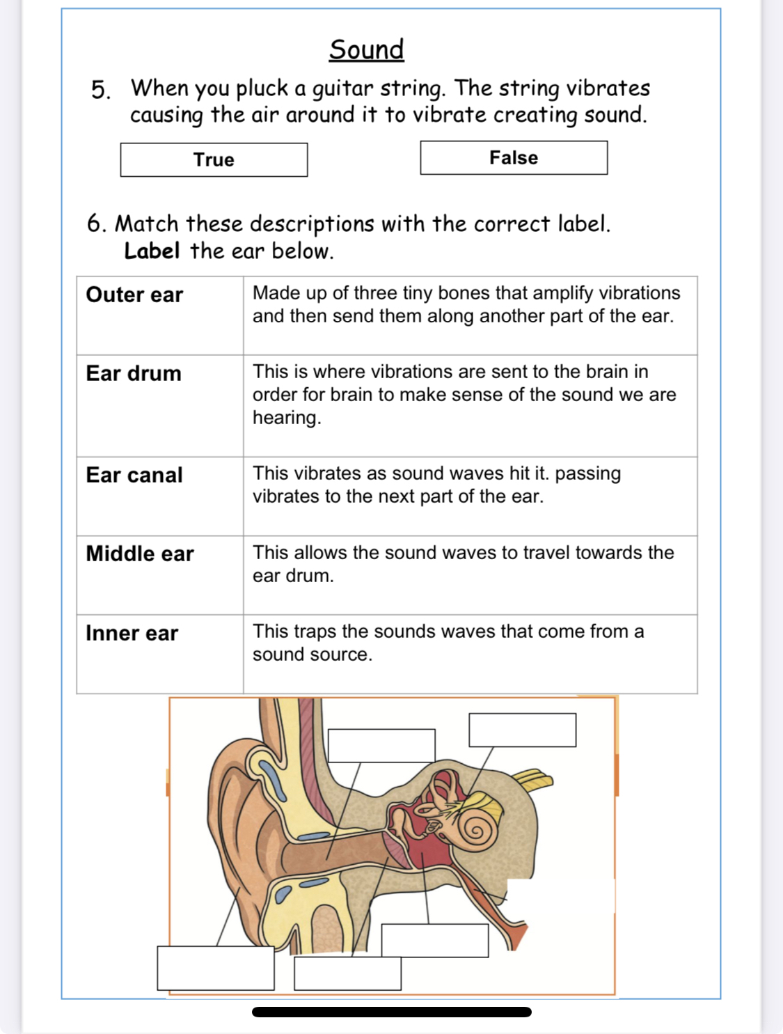 Solved Sound5. ﻿When you pluck a guitar string. The string | Chegg.com