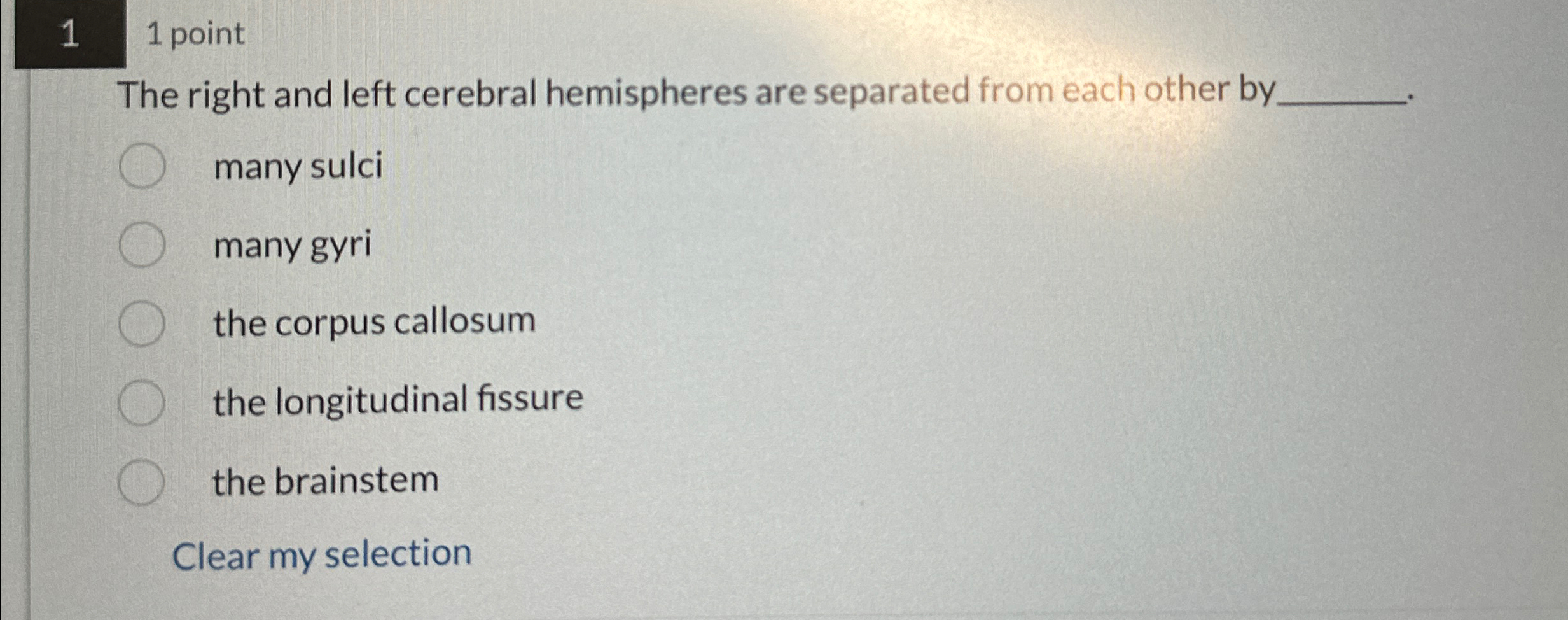Solved 11 ﻿pointThe right and left cerebral hemispheres are | Chegg.com