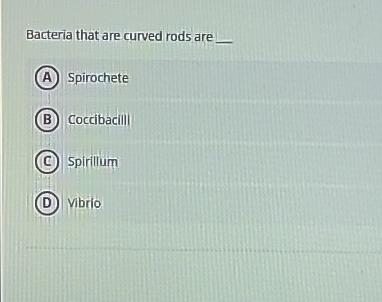 Solved Bacteria that are curved rods | Chegg.com