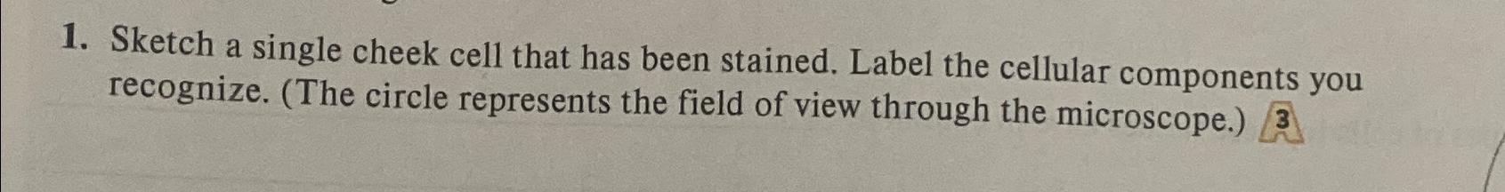Solved Sketch a single cheek cell that has been stained. | Chegg.com