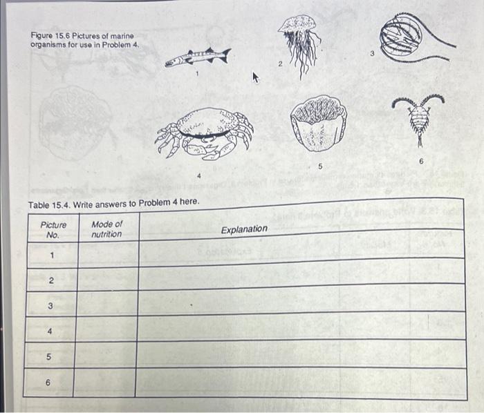 Solved Problem 4: Several marine organisms are depicted in | Chegg.com