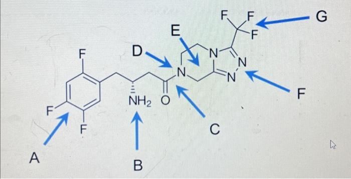 Solved explain each functional group name here .i thoughtA. | Chegg.com