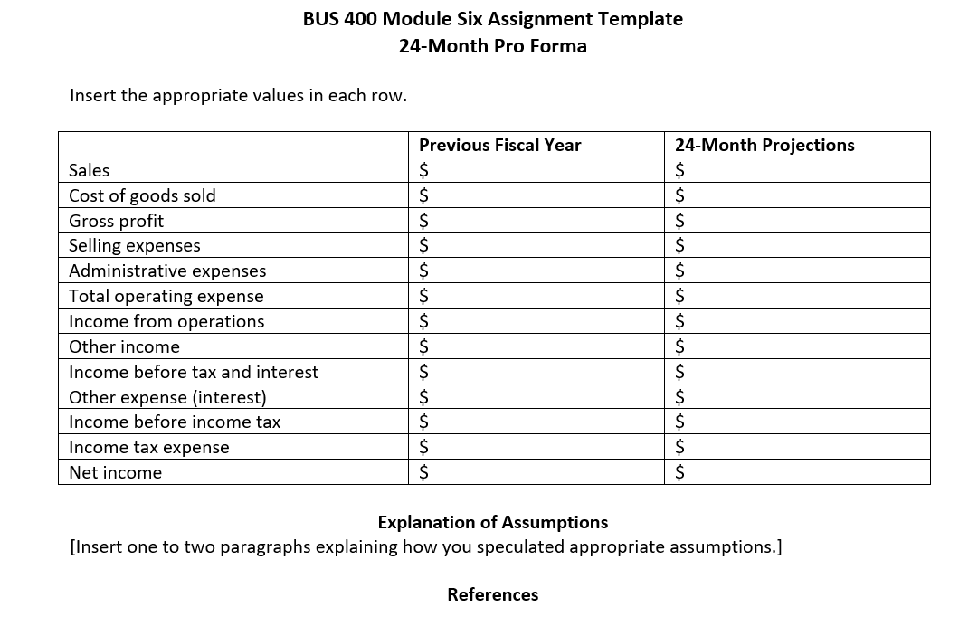Solved BUS 400 ﻿Module Six Assignment Template 24-Month Pro | Chegg.com