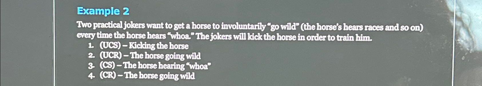 Solved Example 2Two practical jokers want to get a horse to | Chegg.com