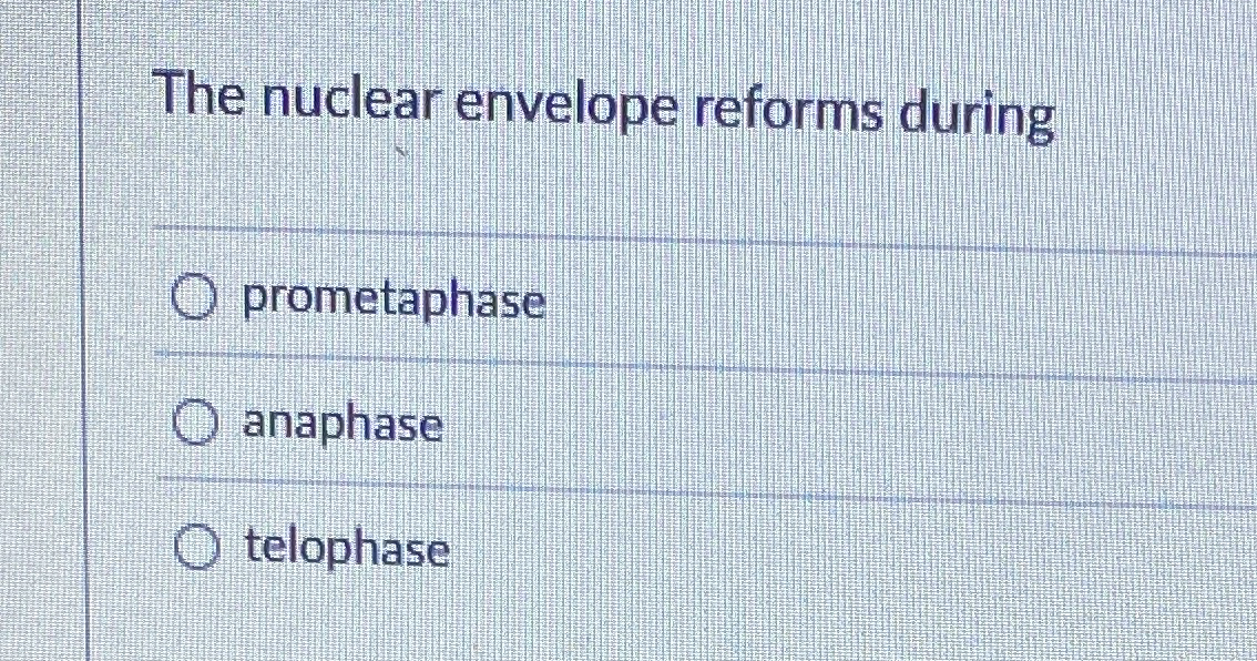 Solved The nuclear envelope reforms | Chegg.com